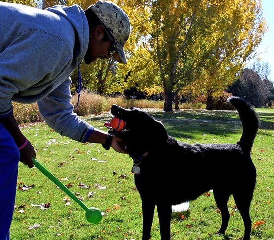 Dogs Off-Leash Parks and Areas | City of Boise
