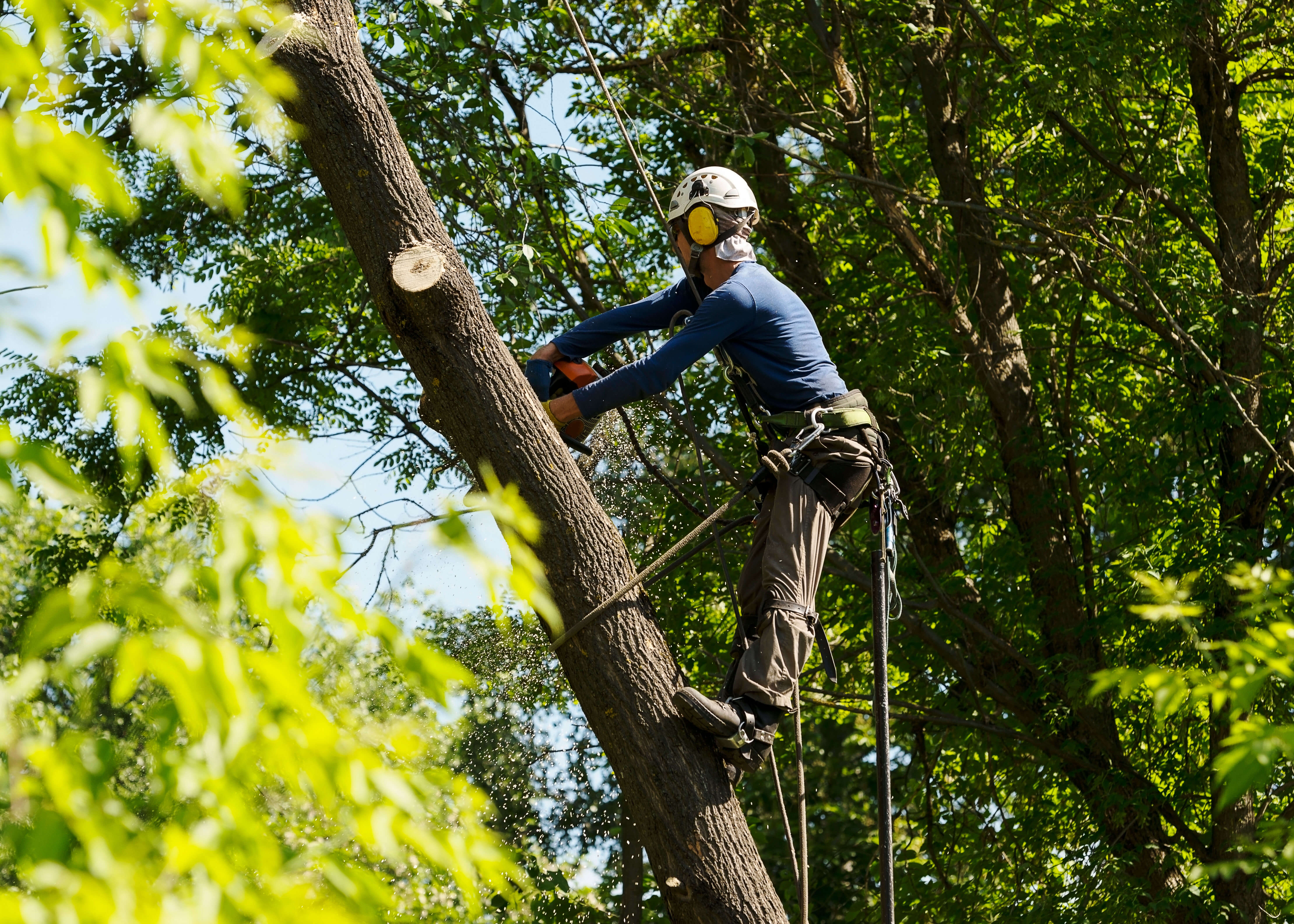 Hot Jobs + Cool People | City of Boise
