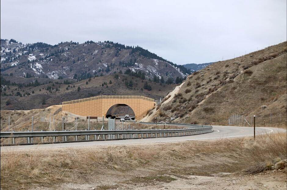 Exploring Wildly Wildlife Overpass Visit | Event | City of Boise