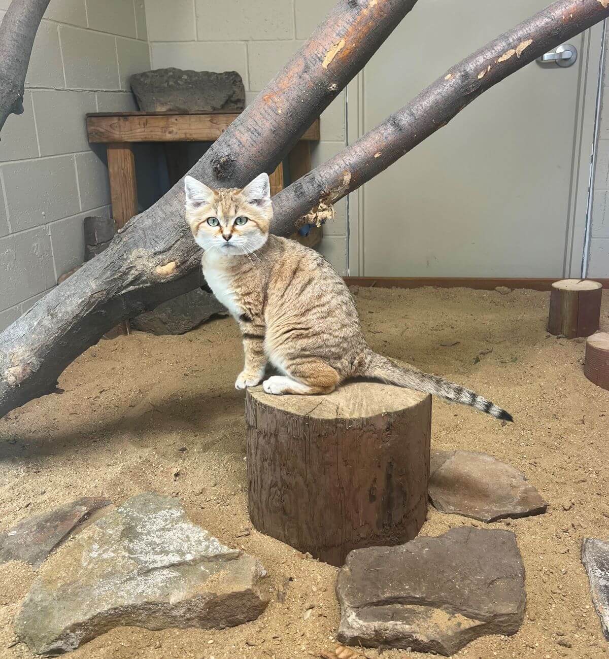 $3 Admission Days Return to Zoo Boise | News | City of Boise