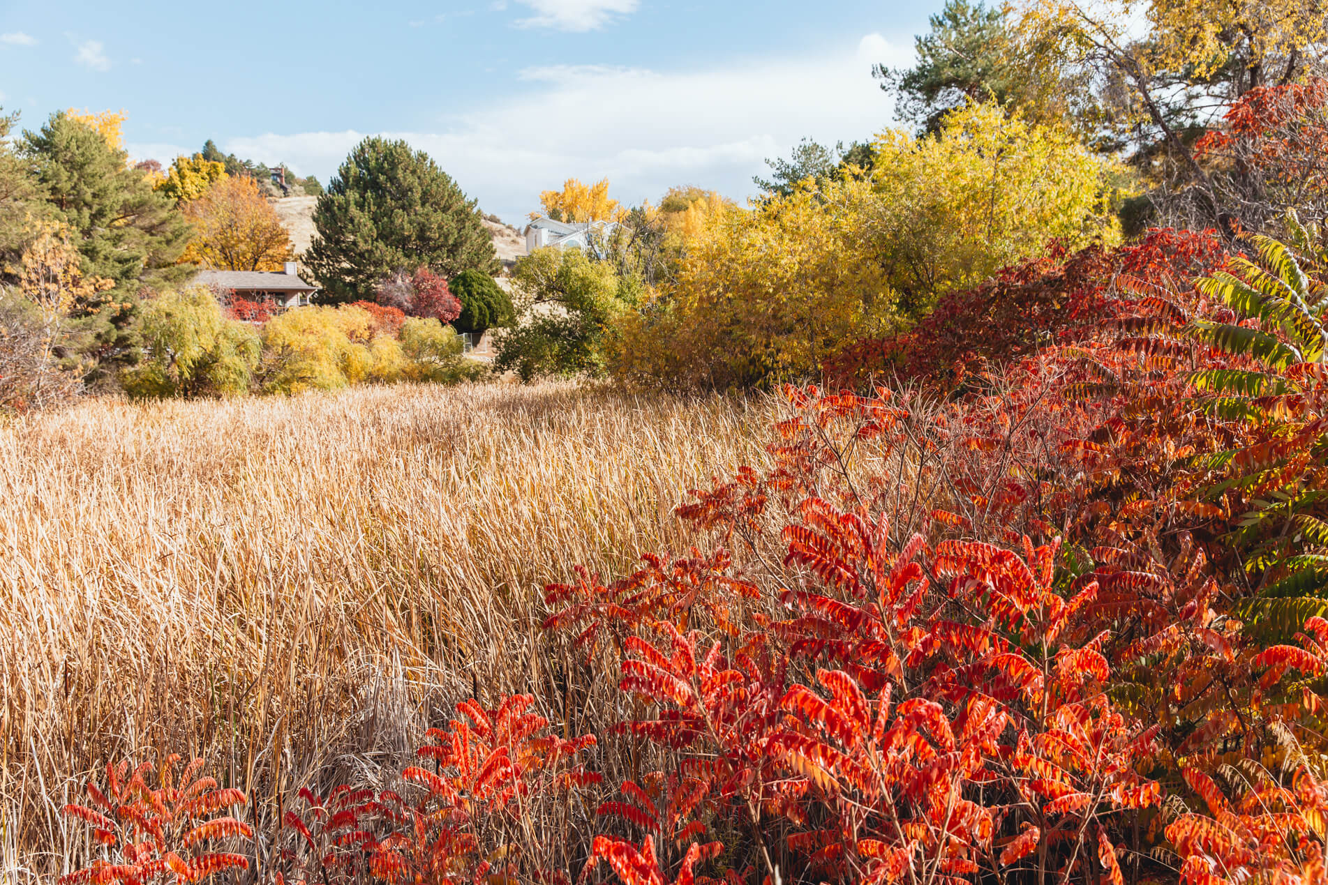 Foothills East Reserve | City of Boise